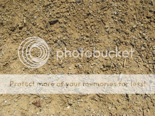 Plenty of Range Lead