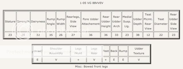 ADGA Linear Appraisal Program - The Goat Spot - Goat Forum