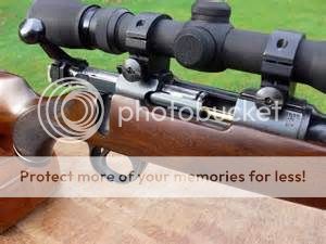 The Perfect .22 Hornet? | Rimfire Central Firearm Forum