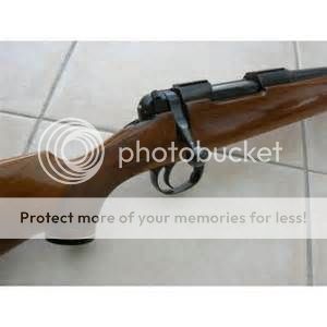 The Perfect .22 Hornet? | Rimfire Central Firearm Forum